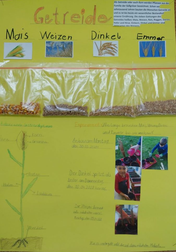 Tolle Lernplakate und Bastelideen der Auerbacher Kinder während des ...
